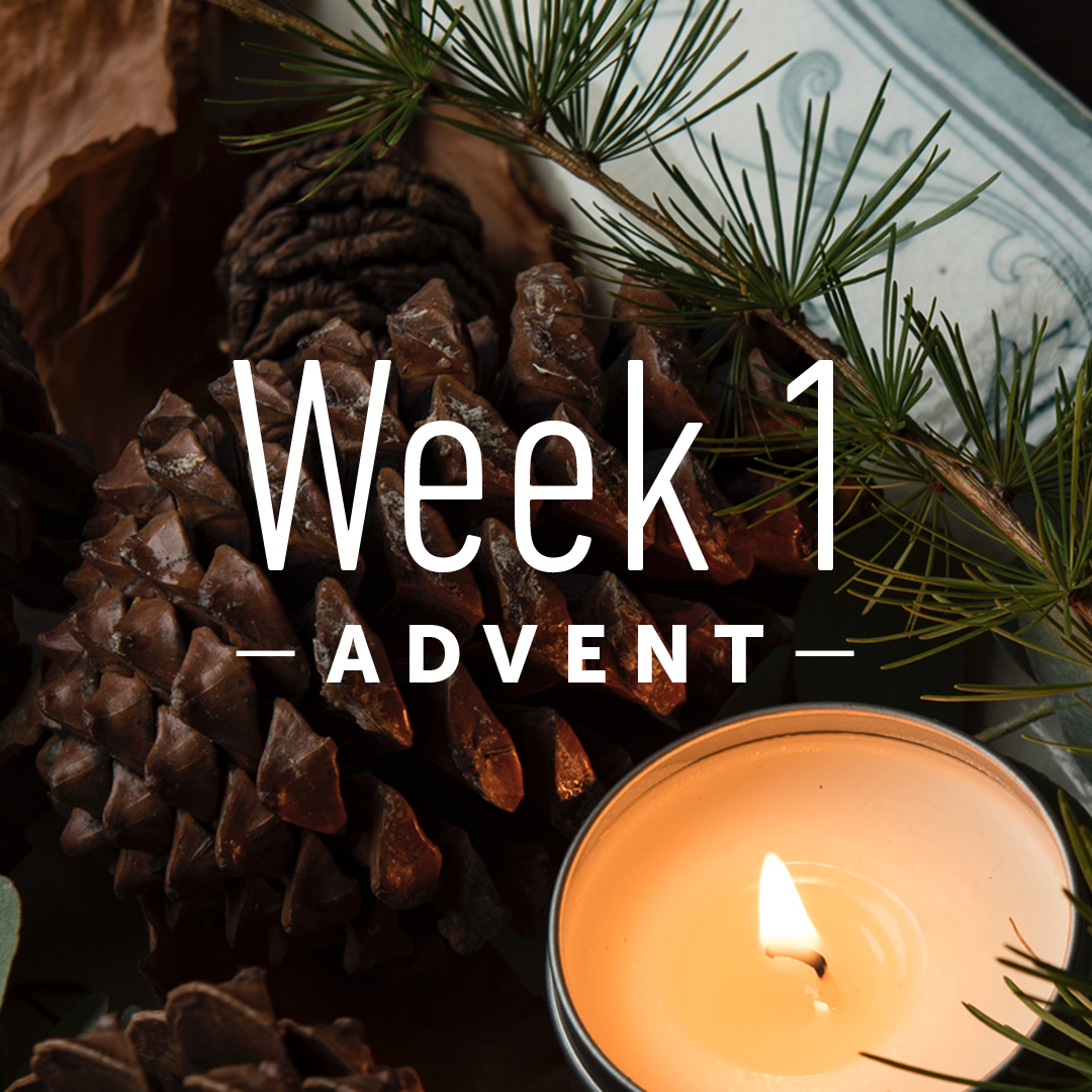 Advent Guide | Week 1: Dec 2-8 - MacArthur Blvd Baptist Church